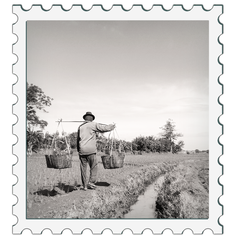 Our Story - Kaze Rice – kazerice